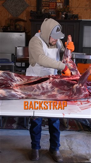 564K views · 3.9K reactions | Here's an easy way to remove the shoulder from your deer! Just be careful not to cut into the backstrap! Check out the full breakdown on our YouTube channel! Head over to https://wltns.link/42DjqRm for all your deer processing needs! | Walton's Inc | Facebook