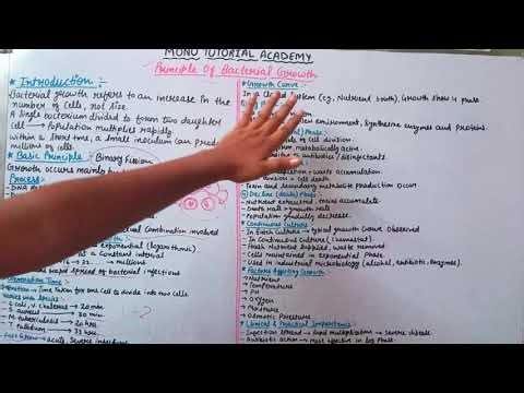 Principle of Bacterial Growth | How Bacteria Multiply | Microbiology Lecture for MLT & BSc Nursing