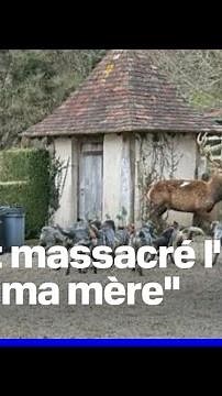 Deux chasseurs entrent dans la propriété de Luc Besson et tuent un cerf devant sa mère de 85 ans