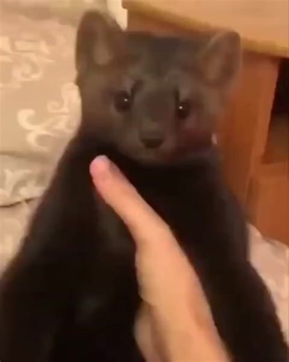 XIIDE (@warm_isolation)’s videos with original sound - XIIDE