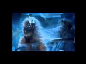 They beat us, but we fly. Alla Pugacheva. Russia «Нас бьют, а мы летаем» Алла Пугачёва