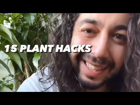 15 Plant & Garden Hacks - creative explained