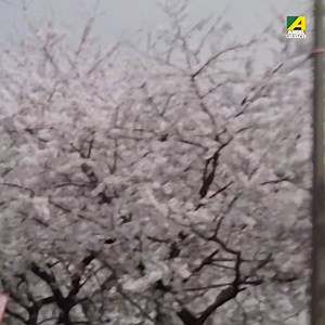 627K views · 37K reactions | কিশোর কুমারের জন্মদিনে শুনুন - মনে পড়ে সেই সব দিন | Angel Bengali Songs | Facebook