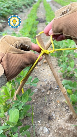 A GREAT Knot Every Gardener Should Know! | Handy Tips