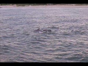 On The Way To Cape May