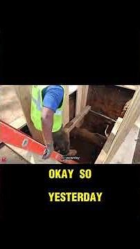 Installing a New Water Main in NYC 💧 Step-by-Step Underground Work #WaterMainReplacement #NYC