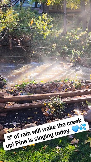 Shannon Ellis on Reels