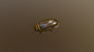 Beetle - Dytiscidae - Buy Royalty Free 3D model by Mixall (@Mixaills)