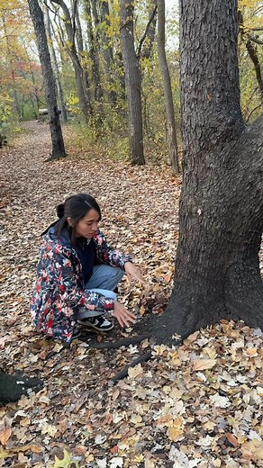 26K views · 340 reactions | Lo que se dice en Estados Unidos al entrar a bosques | Alien Taco | Facebook