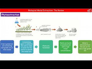 OCR Gateway A (9-1) C6.1.9 - Biological Metal Extraction