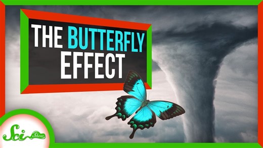 How a butterfly’s wingbeat can change the weather