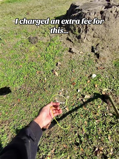 Different color weedeater string will not be tolerated! #lawn #lawncare #lawntok #lawnmaintenance #trending