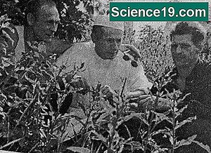 Kaip sudėti ir atimti neigiamas frakcijas 💫 Mokslinė Ir Populiarus Multimedijos Versija. 2025