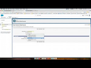 Connect Any External Data Source With the Custom Apex Connector