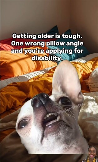#memes #pillow #old #relatable #relatablememes | The MOM Trotter