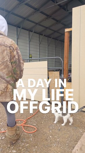 20K views · 525 reactions | The more animals you get, the more work there is to do! 7500 ft above sea level and about 15 degrees outside 略 Chores have to be done daily no matter what the weather. But it is enjoyable work for me! Could you do this everyday if it means you only had to work a regular job part time? | Offgrid Homestead Fam | Facebook