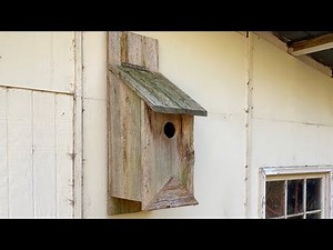 How to make a screech owl nesting box