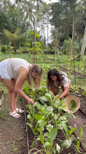 Best Vegetarian Cooking Class Ubud: Authentic Plant-Based Indonesian Culinary Experience