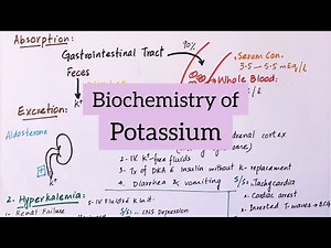 Potassium - Functions Sources Absorption Excretion Diseases