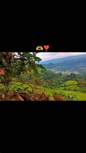 Discover the Beauty of Ethiopia's Kafa Region