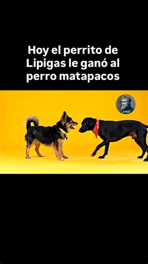 JMA Podcast on Instagram: "Hoy el perrito de Lipigas le ganó al perro matapacos 🔥"