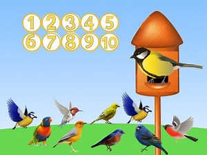 Counting Birds 1-10