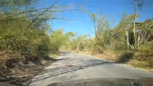 The headlines about Hurricane Melissa are fading, but Jamaicans will need years and perhaps decades to recover. Father Bernard Latus SVD produced this video to convey the destruction. He writes, "On Friday, Sister Barbara, Father Piotr Palowski and I went to Sav La Mar in Westmorland Parish with hurricane relief supplies, donated by parishioners. One cannot describe the devastation we saw on the way." | Society of the Divine Word - Chicago Province