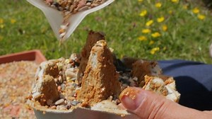 Make your own peanut butter bird feeder