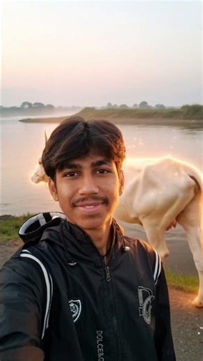 Experience the Divine: Cow Blessing Ritual Revealed