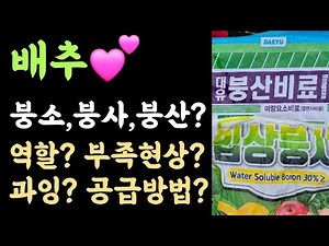 Cabbage💕 Boron, borax, boric acid😃 What is its role? Is it a deficiency? Is it an excess? How do ...