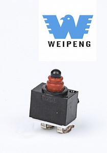 [Hot Item] Fsk-20 12V Momentary Switch Normally Open Waterproof Micro Switch for Microwave Oven with ENEC