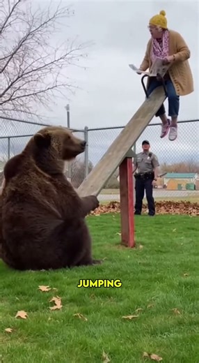 Grandma Stuck on See-Saw with 600lb Bear