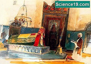 Koja je svrha promotora i terminatora u području DNA molekula? 💫 Znanstveno-Popularni Multimedijalni Portal. 2025