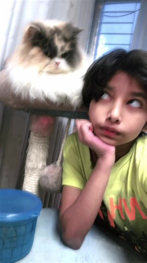 #cutekitten #catsoftiktok #cutecat #catsoftiktok