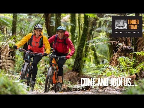 The Timber Trail - Join us for a great ride adventure in central North Island NZ's Pureora Forest