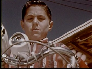 Bicycle Maintenance & Repair: Hand & Coaster Brakes