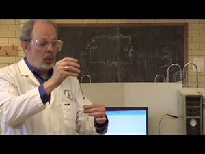 326 - P5 Ternary Phase Diagram