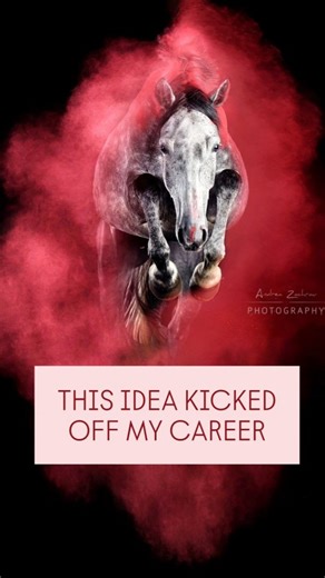 221K views · 31K reactions | Meine Holi Horses ❤️李 Vor fast genau 10 Jahren ist das allererste Holibild entstanden. Seitdem waren meine Holi Horses in Ausstellungen und auf Werbeplakaten, auf Futterverpackungen und auf Zeitschriftencovern zu sehen und haben so viele Menschen weltweit in ihren Bann gezogen. Danke dafür ❤️ #holihorses #equineart #pferdefotografie #equinephotography #holishooting | Andrea Zachrau Photography | Facebook