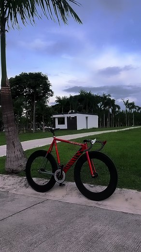 Manila Animal Jeprox: A Colorful Fixie Bike Adventure in the Philippines