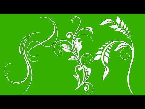 TOP 25 Vector Animated ( GREEN SCREEN )