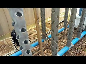 DIY PVC hydroponic tower system