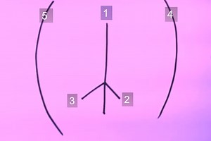 Learn to Draw Butts with Just Five Simple Lines