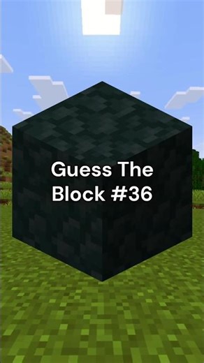 Guess The Minecraft Block #36