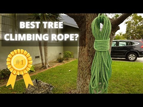 The Best Rope for Tree Climbers, Silver Ivy Tree Climbing Rope- MRS and SRS