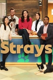 Watch Strays Season 1 Episode 1 - Cat Condo