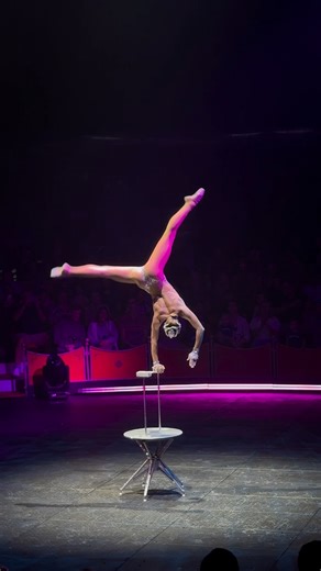 Balance meets brilliance ✨ Quincy Azzario brings world-class hand balancing to the spotlight. 📅 NOW OPEN until Mar 8 | 📍 Under the Big Top at Nathan Benderson Park 🎟 Tickets on sale now >>> CircusSarasota.org/ | Circus Sarasota