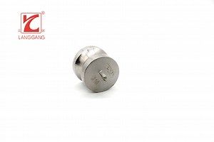 [Hot Item] Qucik Coupling SS304/SS316 Stainless Steel Inox Casted BSPT Thread Type-Dp Dust Plug Camlock