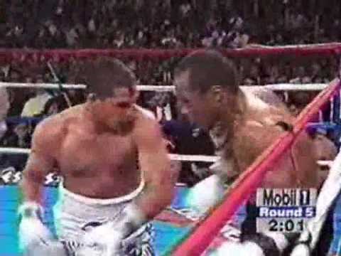The fastest boxers of all time Part 2