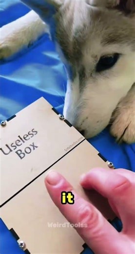 The Most Pointless Invention Ever 😂🙃 #funnyshorts