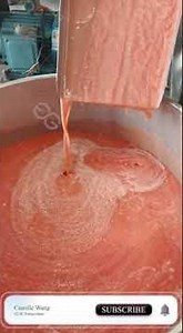 Small Scale Tomato Pulper Machine Price Tomato Processing Machine